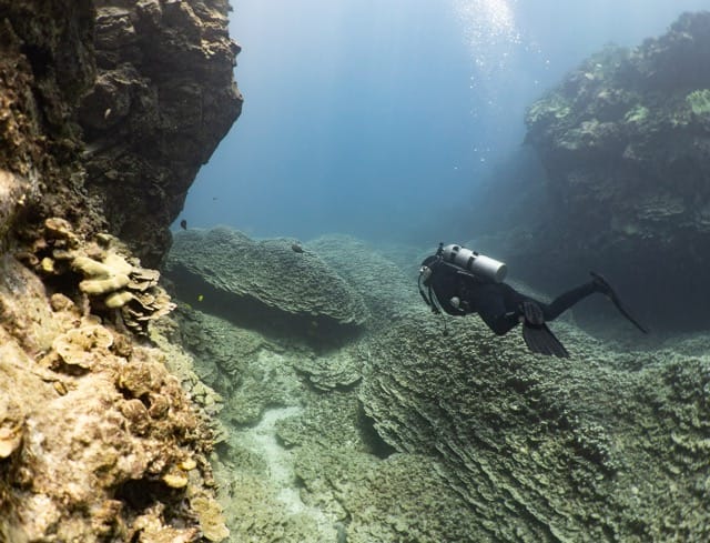 Guide to the Best Scuba Diving in Hawaii | Kona Honu Divers