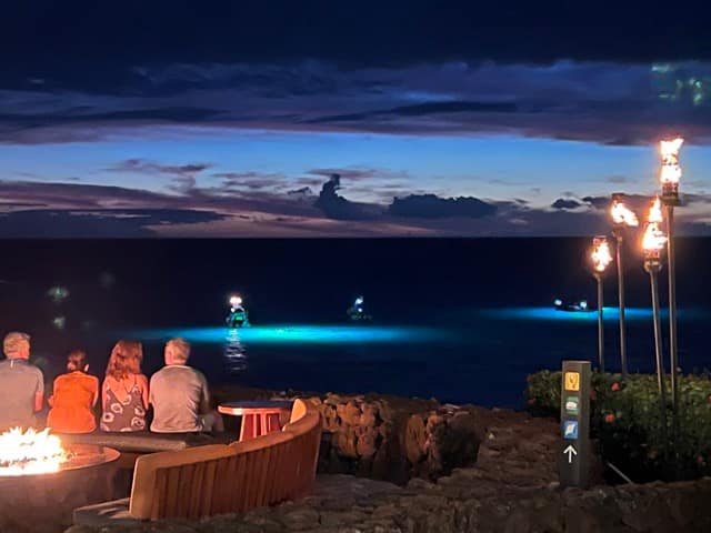 Manta Ray Heaven / Garden Eel Cove