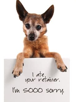 Choosing Between a Removable Retainer and a Permanent Retainer ...