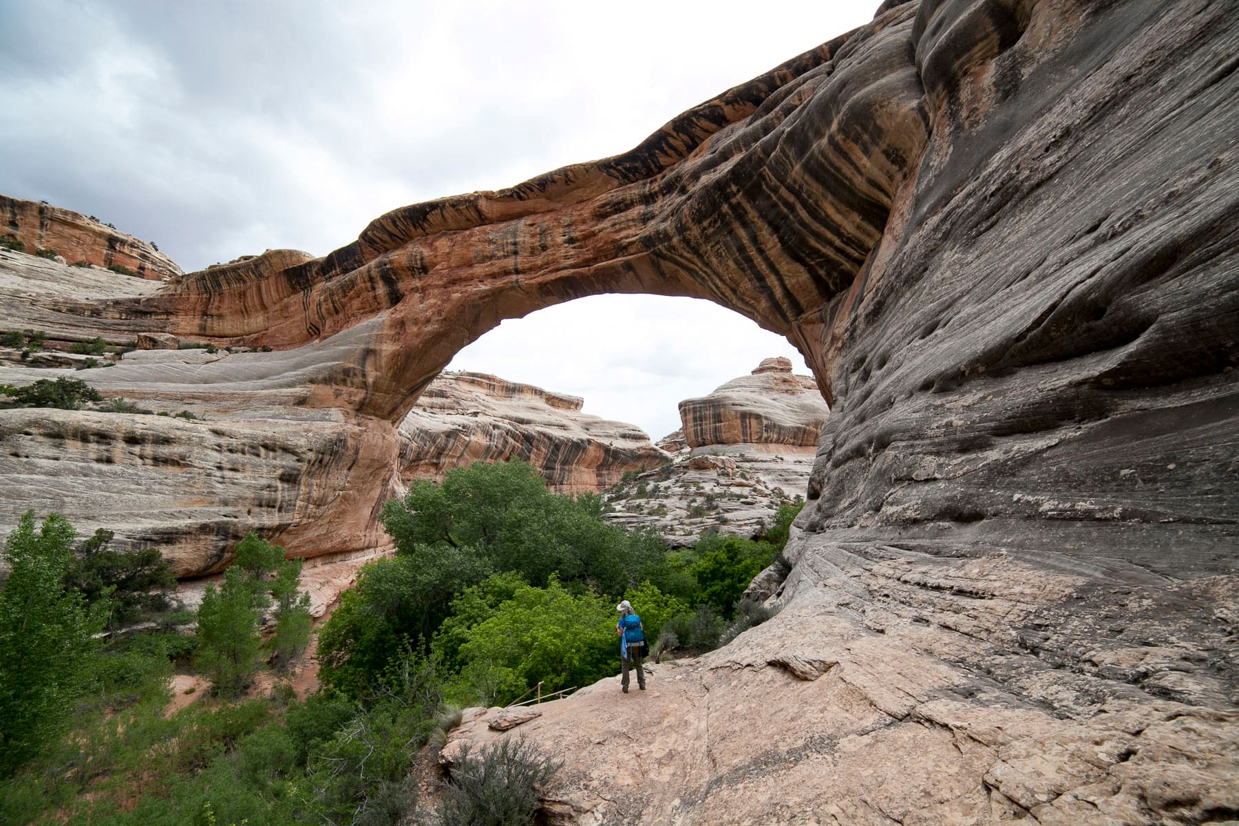 Parque Estatal Natural Bridges Natural Bridges Loop Trail, Including